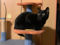 Filmlabor Ou/導播助理 - PaPiin