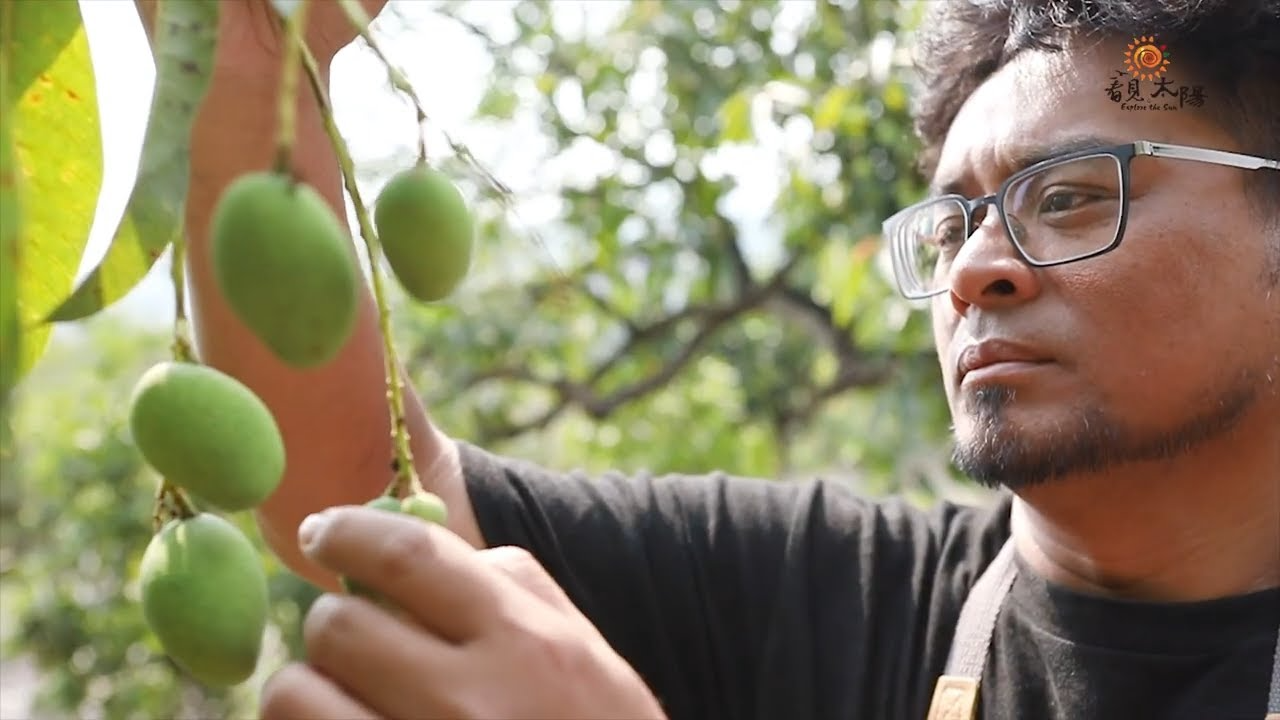 紀錄片-原民創業計畫 《芒好》- PaPiin