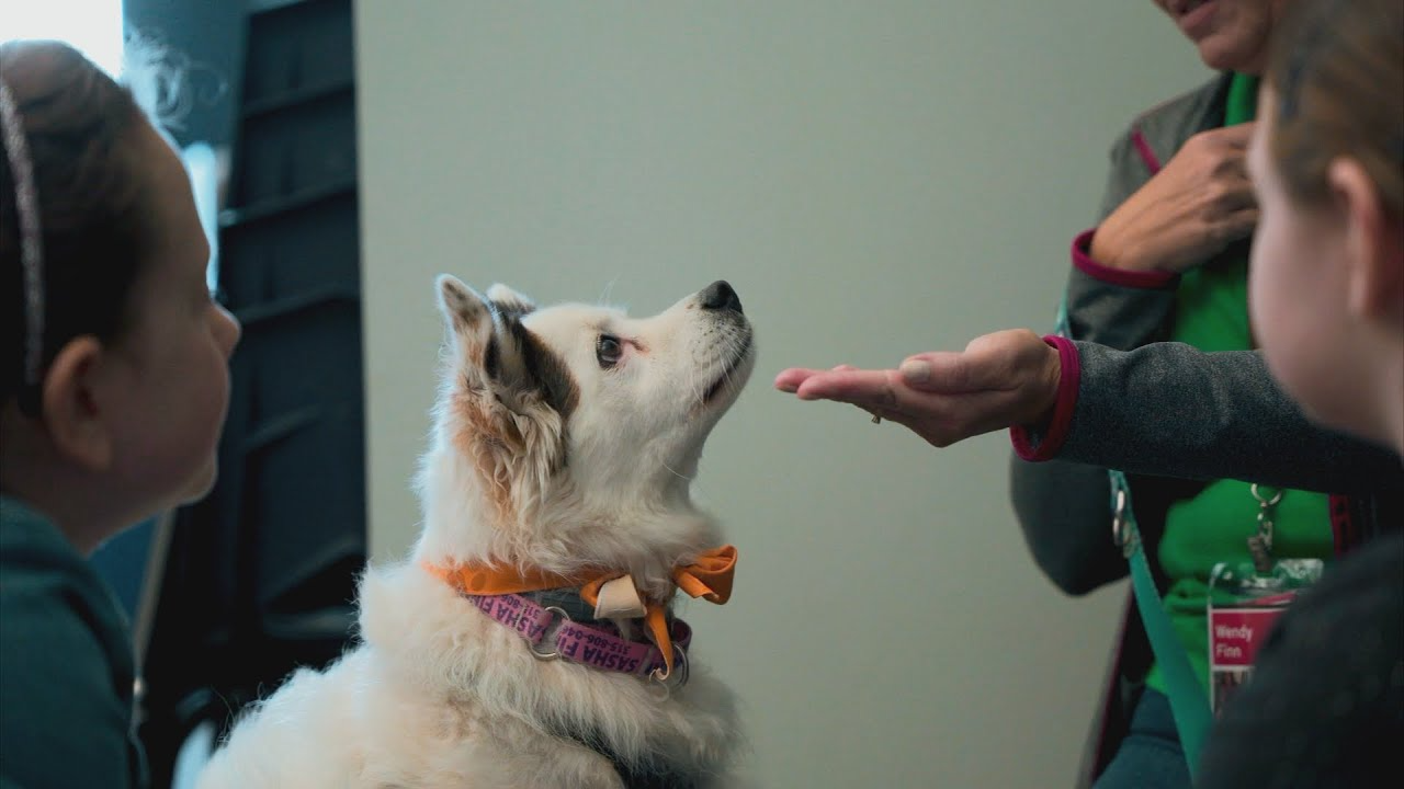 導演 Showreel 2023- PaPiin