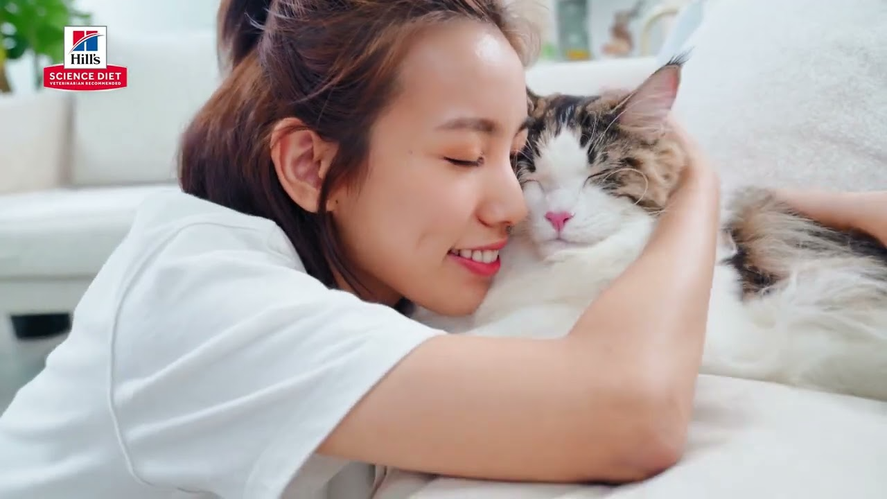 希爾寵物商品情境廣告- PaPiin