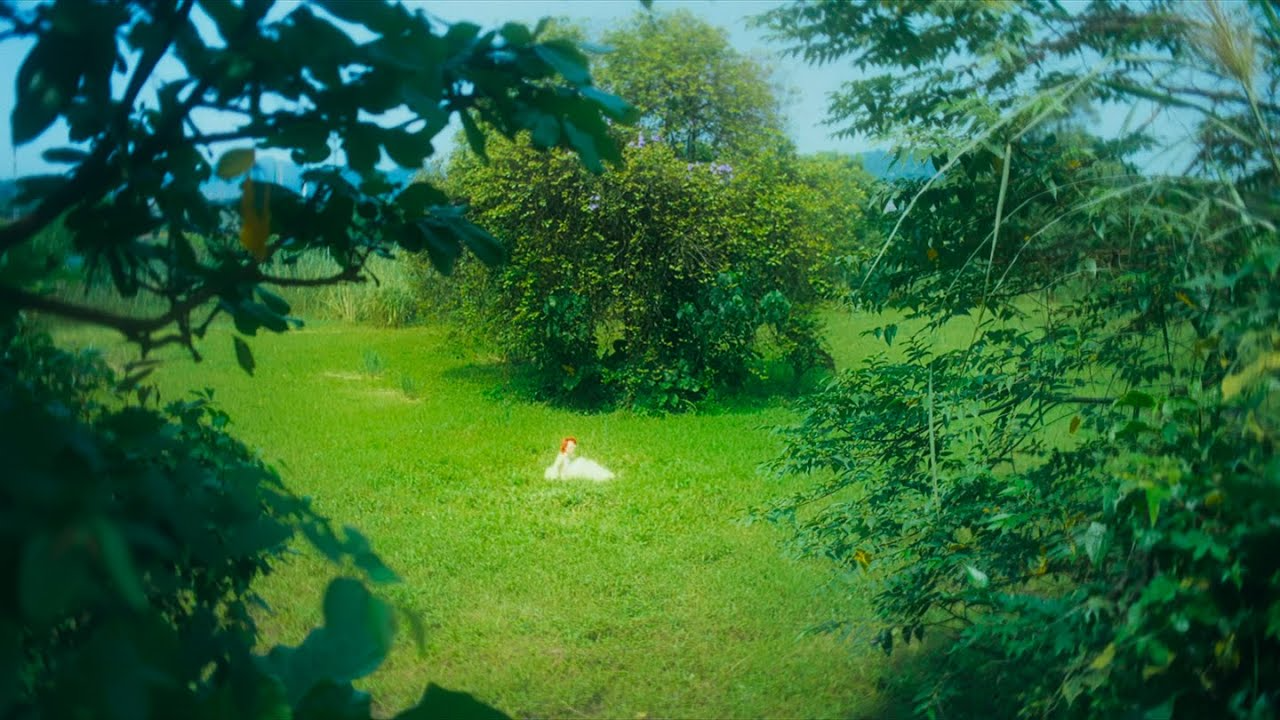 老媽〈拖把〉短片- PaPiin