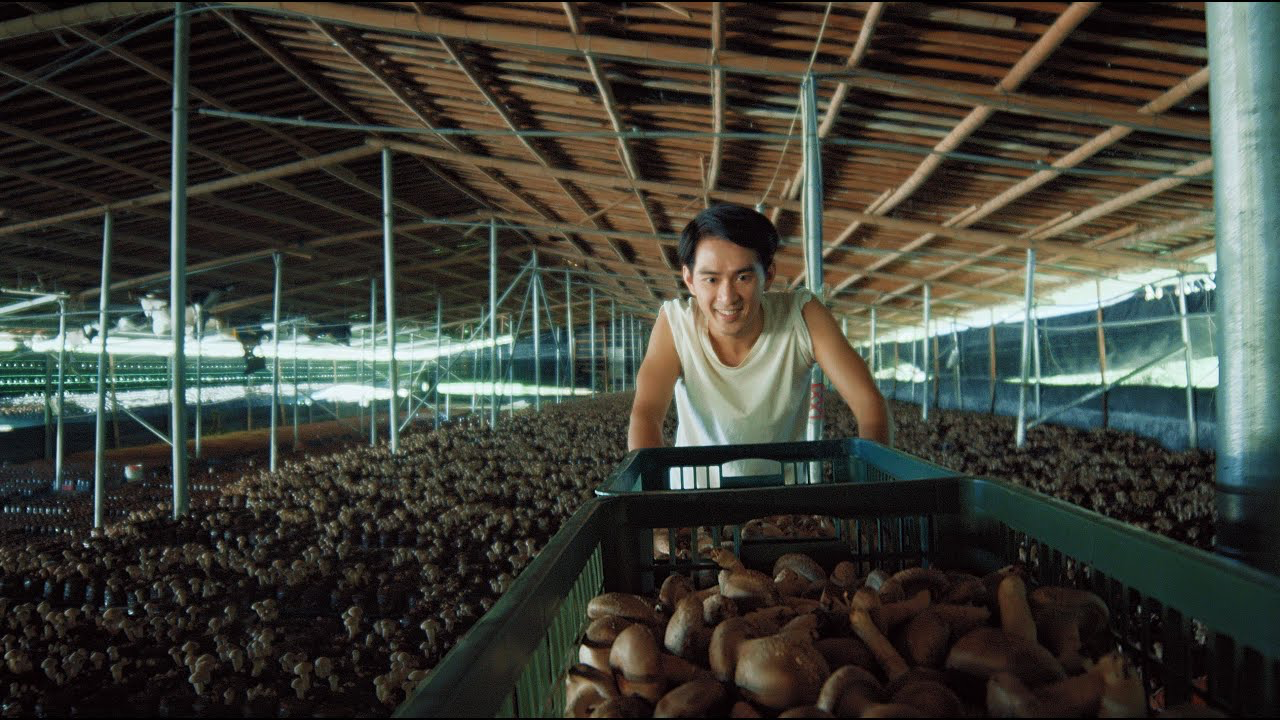 臺中地方創生進行中- PaPiin