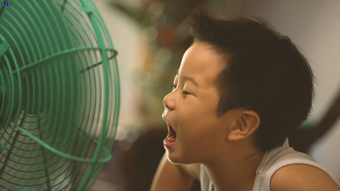 大同電扇 - 100週年網路廣告- PaPiin