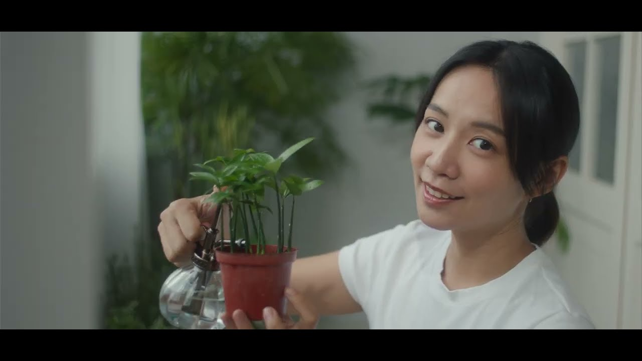 淨零綠生活- PaPiin