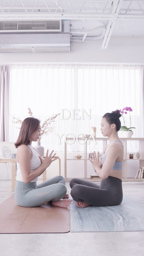 DenYoga D1 導演版- PaPiin