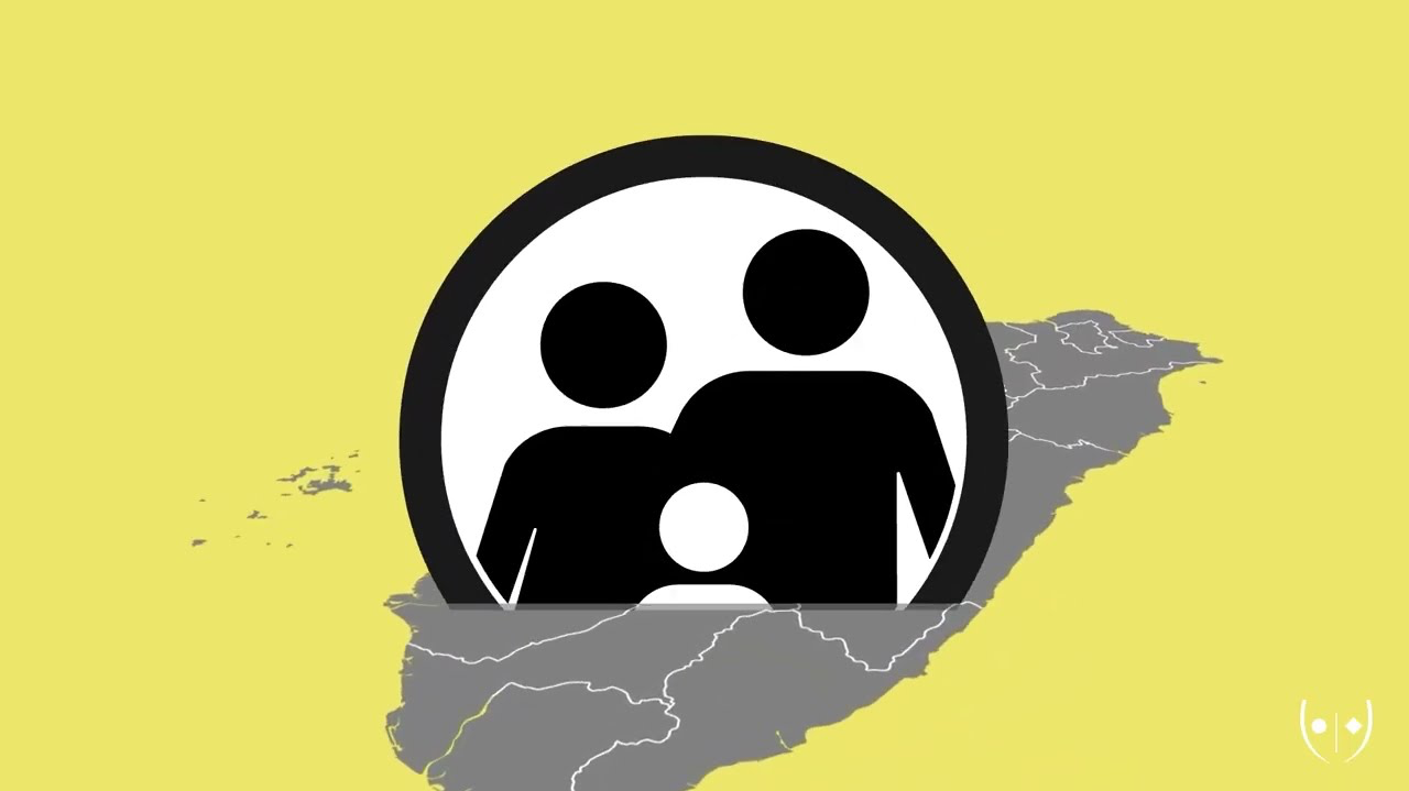 Showreel2024- PaPiin