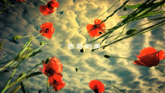 SONY BRAVIA 導演版- PaPiin